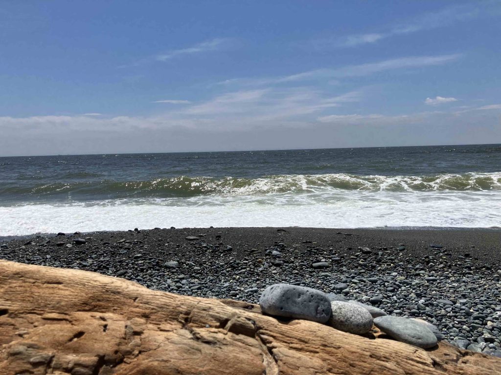 「素材の意味を考える」、8月のてならい堂。 - てならい堂